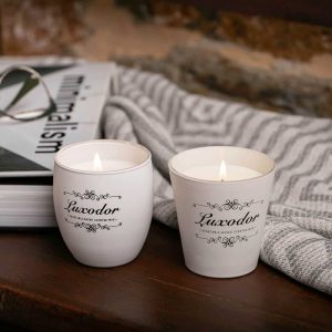 Β2Β PARTNER - LUXODOR